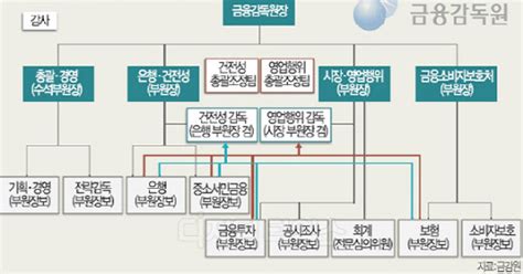금감원 조직 슬림화 시동 대팀제로 전환