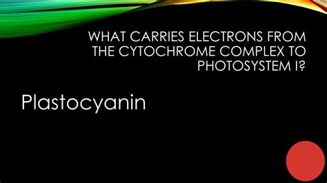 Ppt Photosynthesis Review Powerpoint Presentation Free Download Id