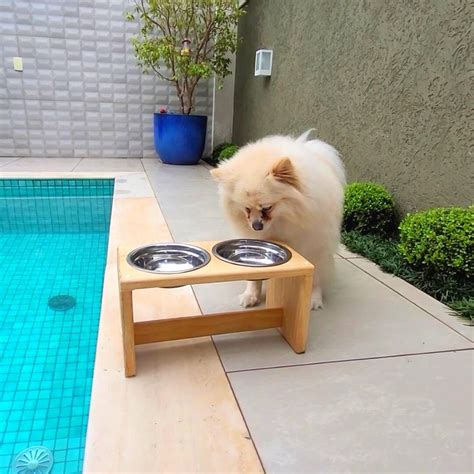 Comedouro Suporte Alimentador Bebedouro Elevado Ração Cachorro Gato Pet