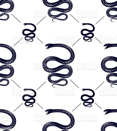 뱀 원활한 배경 벡터 위험한 독 뱀 패턴 빈티지 스타일의 드로잉 끝없는 벽지 뱀에 대한 스톡 벡터 아트 및 기타 이미지 뱀 포장하기 뱀 가죽 Istock