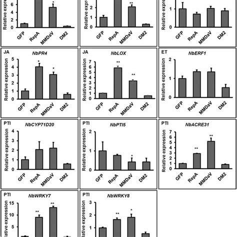 Relative Expression Of Immunity‐associated Genes By Reverse
