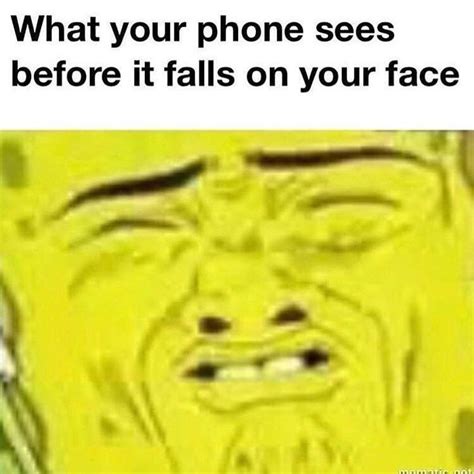 Silly Memes To Help Pass The Time Artofit