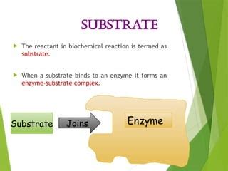 Enzymestructure Andfunction Autosaved 1pptx