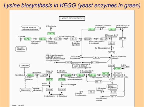 Ppt Metabolic Pathway Analysis Powerpoint Presentation Free Download