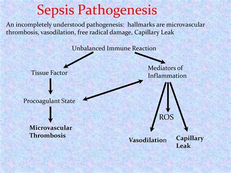 Sepsis Antibiotic Selection