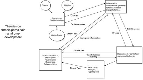 Acute And Chronic Prostatitis Presentation Idf Malaga Pptx