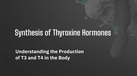 Synthesis Of Thyroxine Hormones By Jyoti Verma Gupta On Prezi