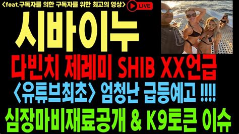 시바이누 시바이누코인 시바이누코인전망 Shib Doge 일론머스크 다빈치 제레미 코인전망 비트코인 이더리움 도지코인 Youtube