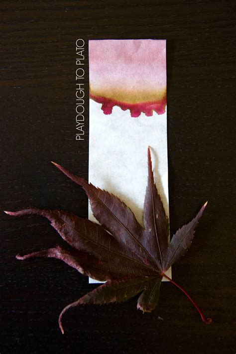 Leaf Chromatography Activity Playdough To Plato