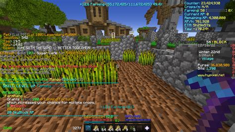 Farming L R Hypixelskyblock
