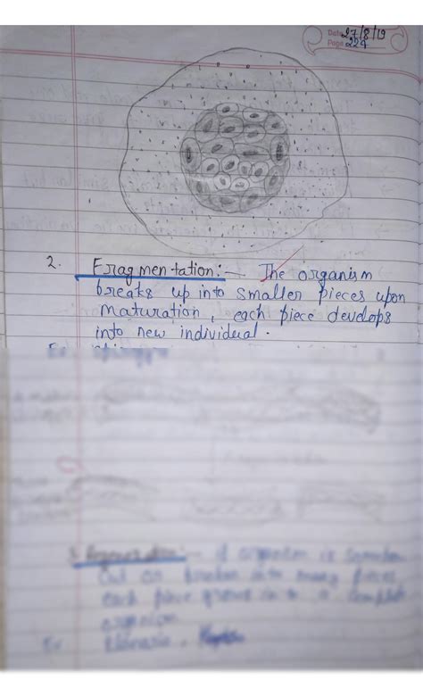 SOLUTION How Do Organisms Reproduce Notes Exercise Studypool