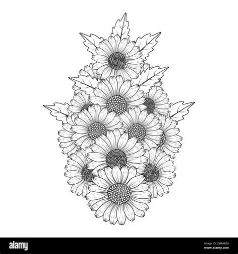 Daisy Flower Drawing Coloring Page With Doodle Art Design In Detailed