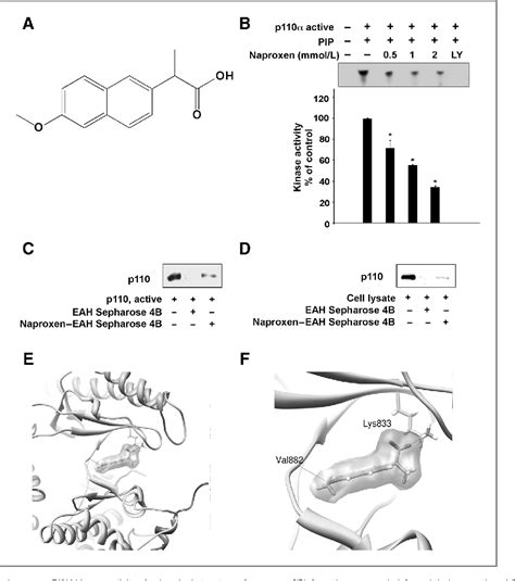 Figure 1 From Naproxen Induces Cell Cycle Arrest And Apoptosis In Human