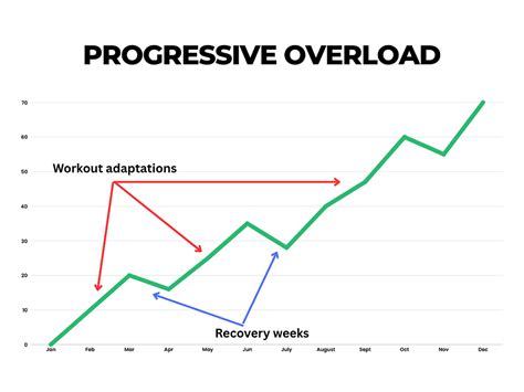 Progressive Overload 101 Level Up Your Strength At Home Or In The Gym