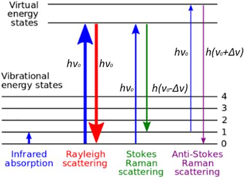 Principle Of Raman Scattering Taken From 68 Download Scientific
