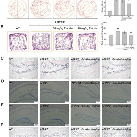 Emodin Improves Behavioral Performance Of Appps1 Mice By Decreasing