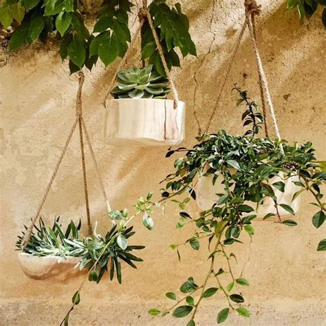 Des Plantes Sur Ma Terrasse 30 Idées Faciles à Copier Elle Décoration