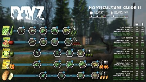 Dayz Poradniki Tutorial Tipy Ciekawostki Poradnik Dayz Pl