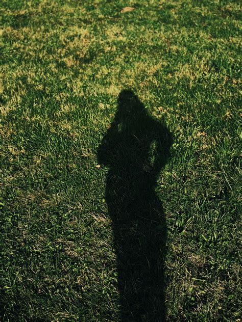 Een Frisse Start Van 2025 Barbara Trienen