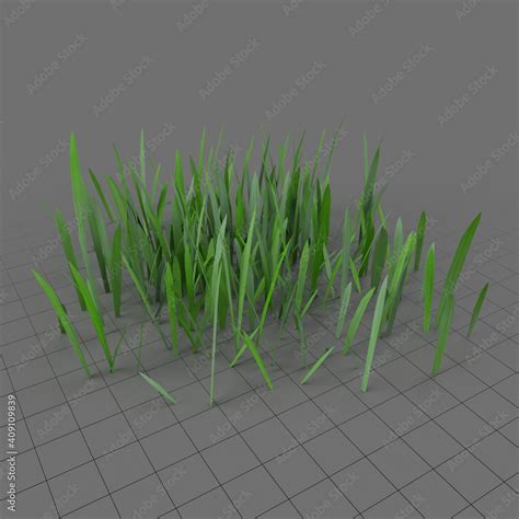 Grass Stock 3d Asset Adobe Stock