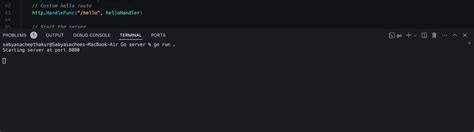 Im Excited To Share My Latest Project Where Ive Built A Go Golang Server To Host And Serve