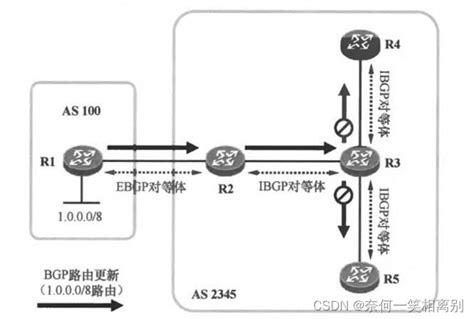 Bgp Bgp Csdn