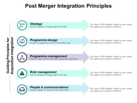 Post Merger Integration Principles Ppt Powerpoint Presentation Gallery
