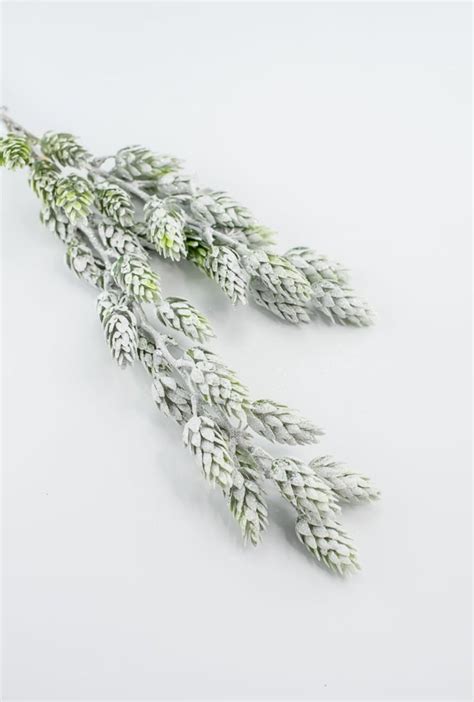 Artificial Frosted Hops Greenery Spray Greenery Market