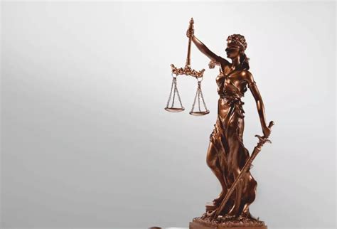 Womens Contributions To International Human Rights Law Trailblazers