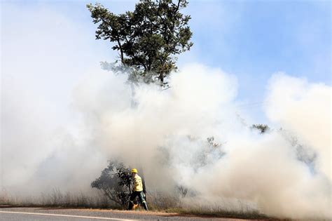 Decreto possibilita contratação de 150 brigadistas florestais para