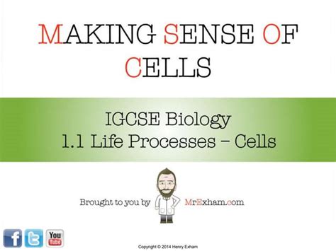 Cambridge Igcse Biology Cells Structures And Functionspptx Biological