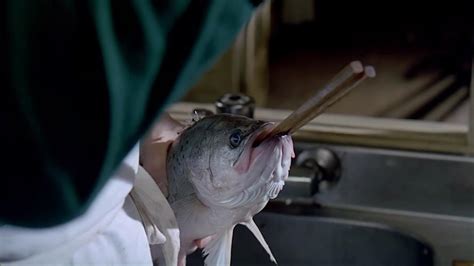 电影解析 最后的晚餐——《饮食男女》（十一） 知乎