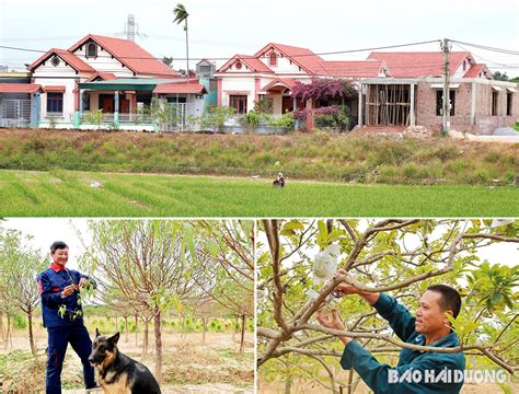 Vùng đất Của Dân Ngụ Cư