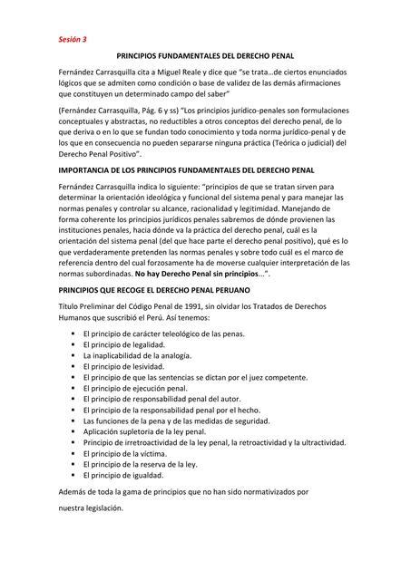Los Principios Fundamentales Del Derecho Penal Aldair Preciado Udocz