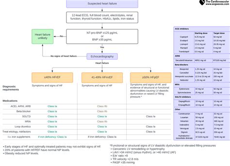 Diagnosis And Initial Management Of Heart Failure Hfref Hfmref Hfpef