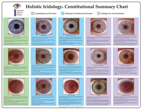 17 Best Images About Irydology On Pinterest Health Argentina And Charts