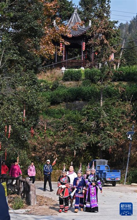 高质量发展调研行浙江景宁畲族自治县特色农业助力农民增收 新华网客户端