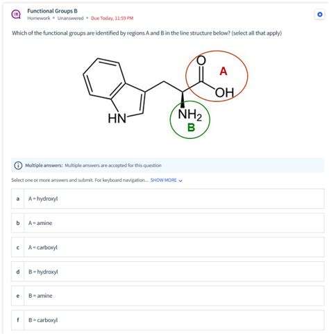 Solved Functional Groups BWhich Of The Functional Groups Are Chegg Com