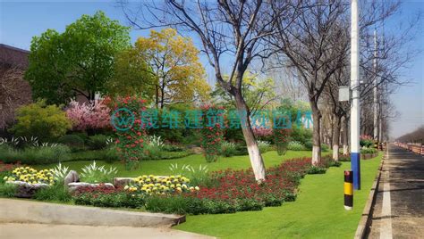 平阴道路绿化设计 山东晟维建筑景观设计有限公司