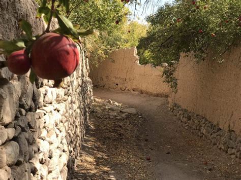 ایران شناسی 23 تفت طرفداری