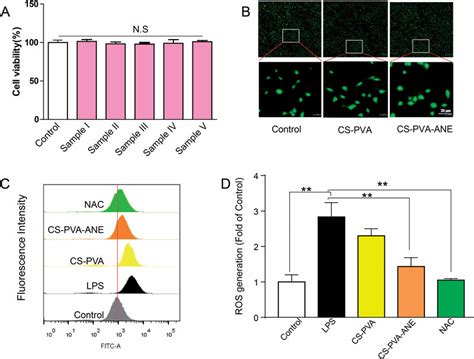 Compatibility And Antioxidative Stress Efficiencies Of Cs Pva Ane A