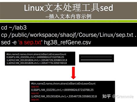 Linux文本处理工具awksedgrep等 知乎