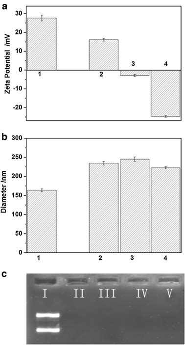 characterization of dna pei pps ternary complexes at ph 7 4 a surface