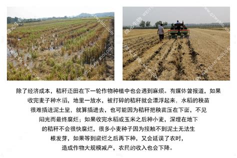 秸秆腐熟剂 秸秆还田腐熟剂 玉米秸秆还田腐熟剂 有机物料腐熟剂 阿里巴巴