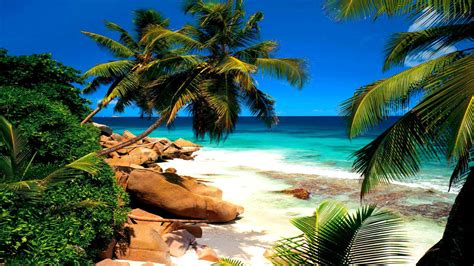 Seychelles Wallpaper Wallpapersafari