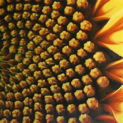 Società Per La Belle Arti Ed Esposizione Permanente Spirali E Numeri Di