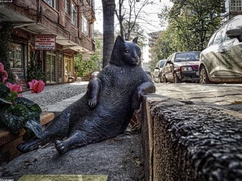 Topology How Does Network Topology Affect Security Threat Picture