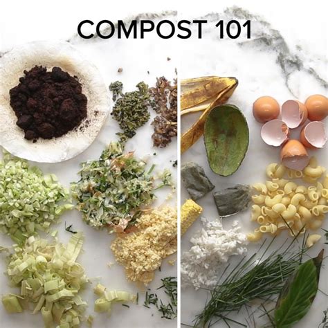 Composting 101 Composting 101 Spring Vegetables Compost