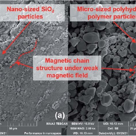 Scanning Electron Microscopy Sem Of The Composite Dispersion System