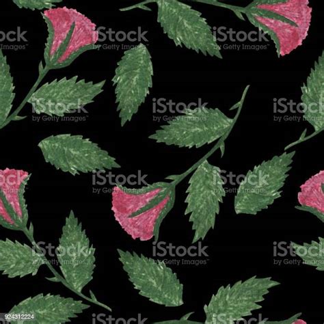 빈티지 스타일 장미 꽃과 함께 아름 다운 수채화 물감 페인트 원활한 배경 0명에 대한 스톡 벡터 아트 및 기타 이미지 0명 꽃 나무 꽃 식물 Istock